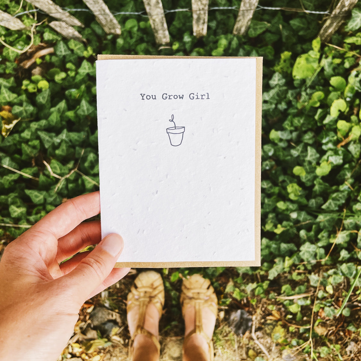 EVERYDAY CARDS – CATO & COMPANY